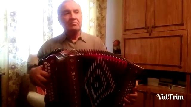 Вальс "Размышления" Наталенко В. П. (автор и исполнитель) электронная гармонь.