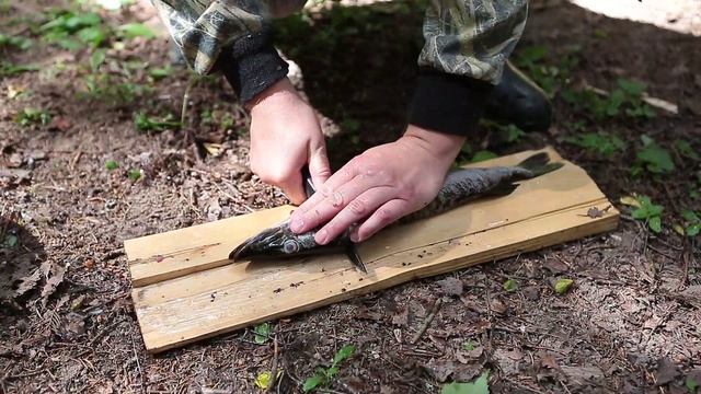 Идём на рыбалку