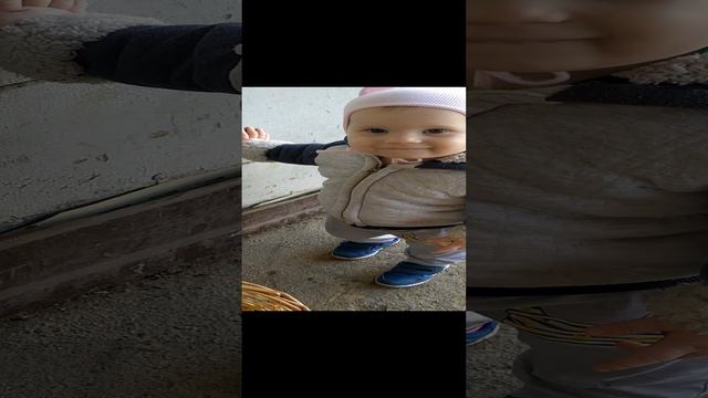 Наш улов в курятнике сегодня. Сколько собрали яиц показываю.