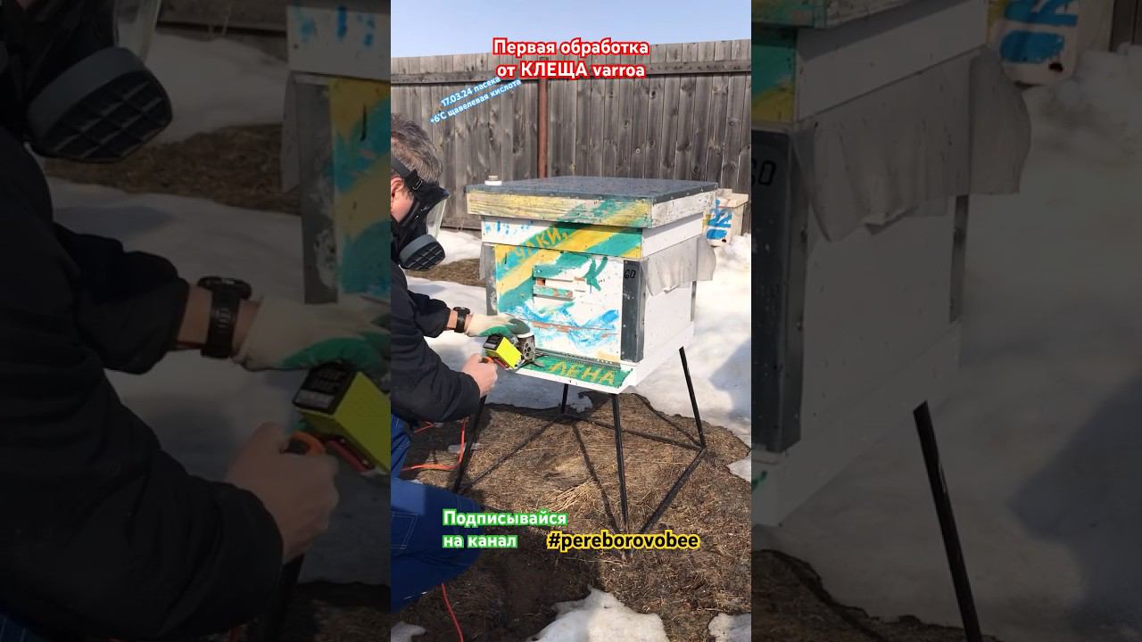 Первая ☘обработка от клеща|ПЧЕЛОВОДСТВО #pereborovobee #пчеловодство #матковод #пасека #улей #varroa