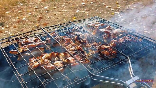 Природа Южный Урал Семейный отдых, шашлыки и золотая осень