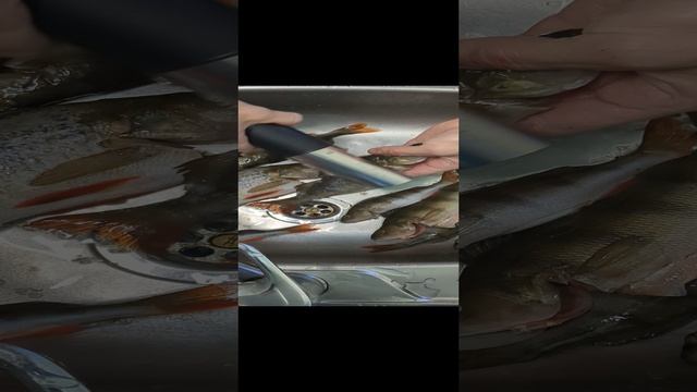 Рыбочистка.