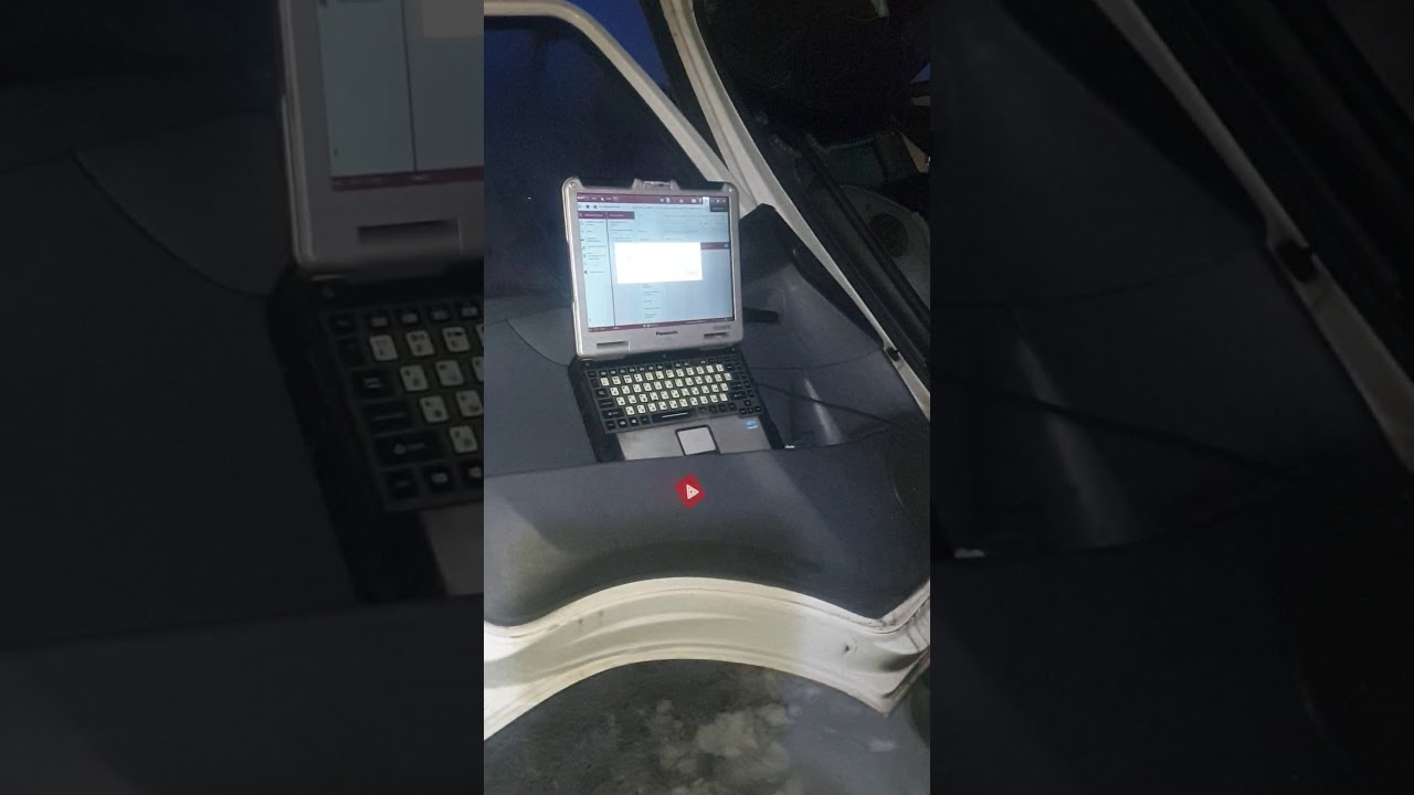 Автоэлектрик Атего не заводится