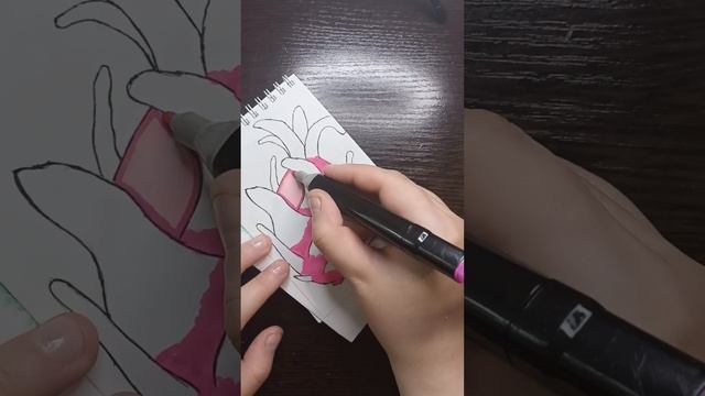 Драгонфрут/питайя маркерами