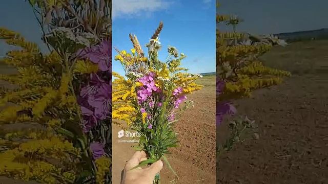 Денег нет, но есть душа.