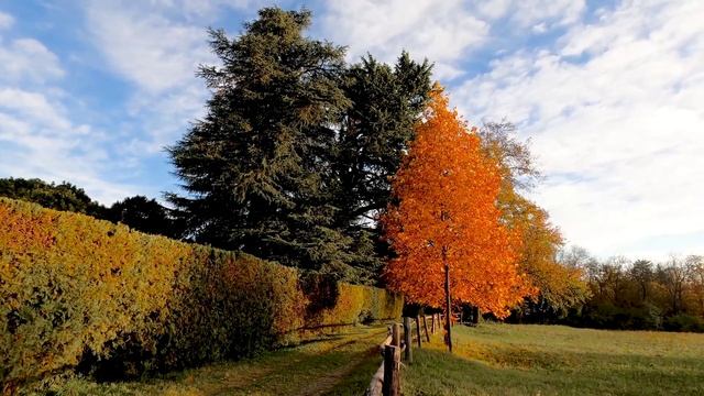 Осенняя красота.mp4