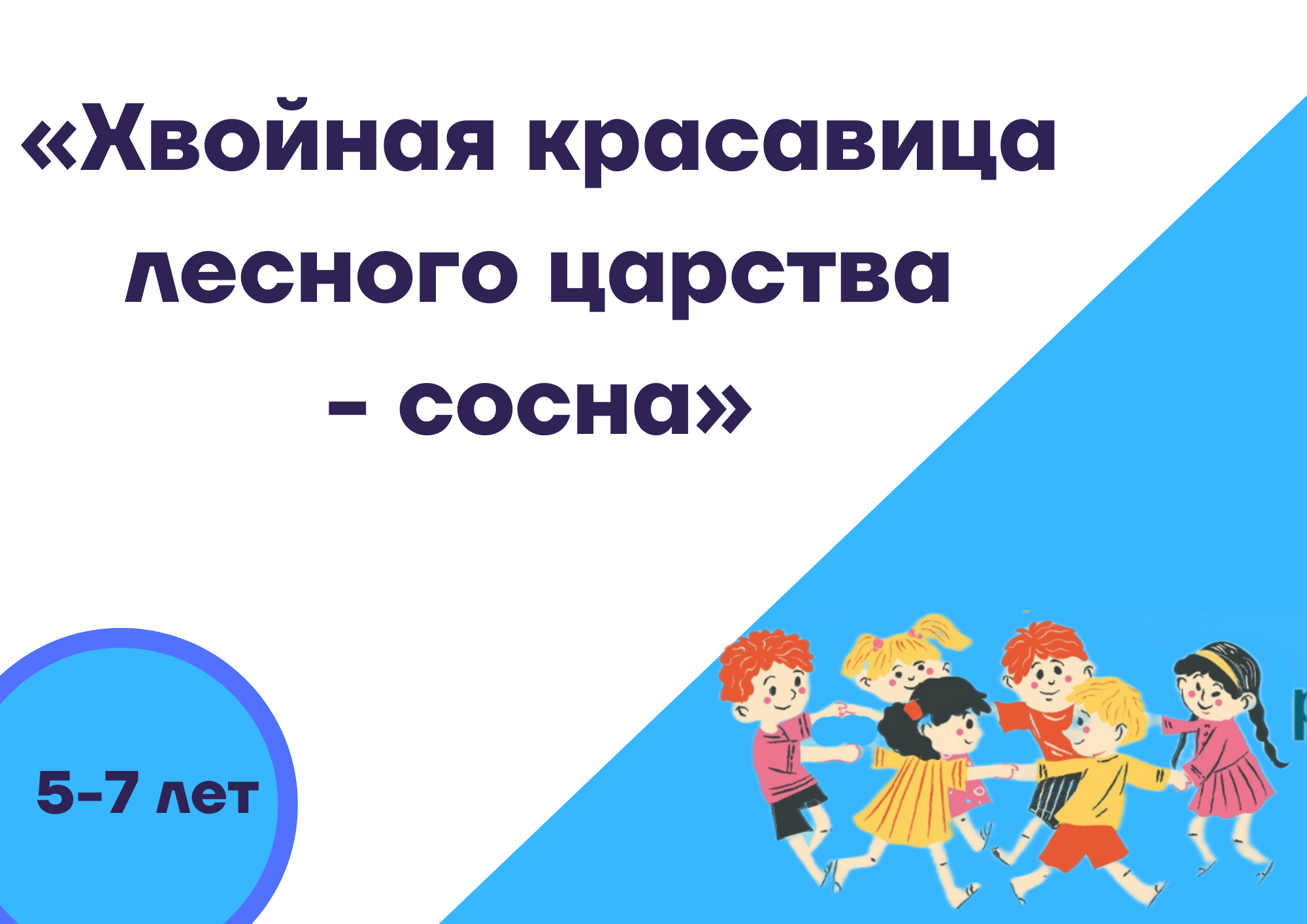 «Хвойная красавица лесного царства
- сосна»
