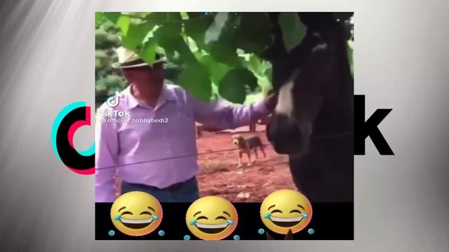 запах женщины