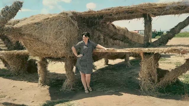 2022.01.20 Бахча Понамаревых 2020