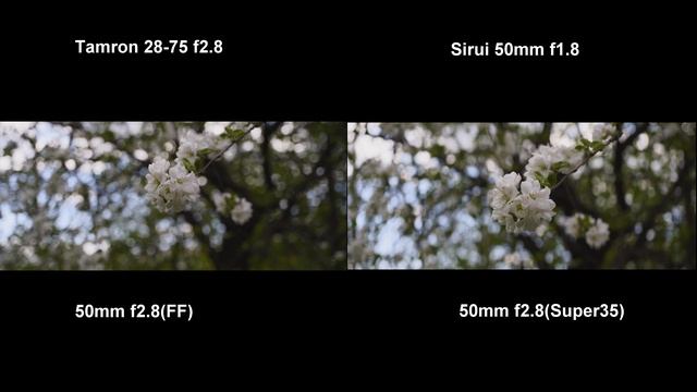 Tamron 28-75  vs Sirui 50