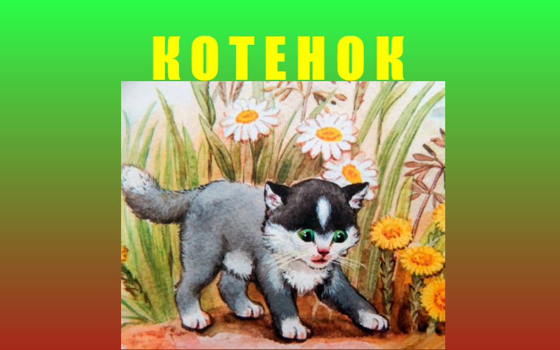 Котёнок. Л.Н.Толстой.