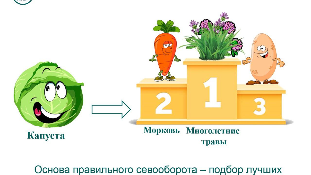 Севооборот - Видео №5