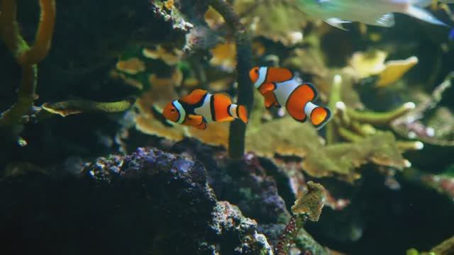 ♪ Музыка Глубокого Сна ♪ Слушаете и Сразу Погружаетесь В Глубокий Сон ♪