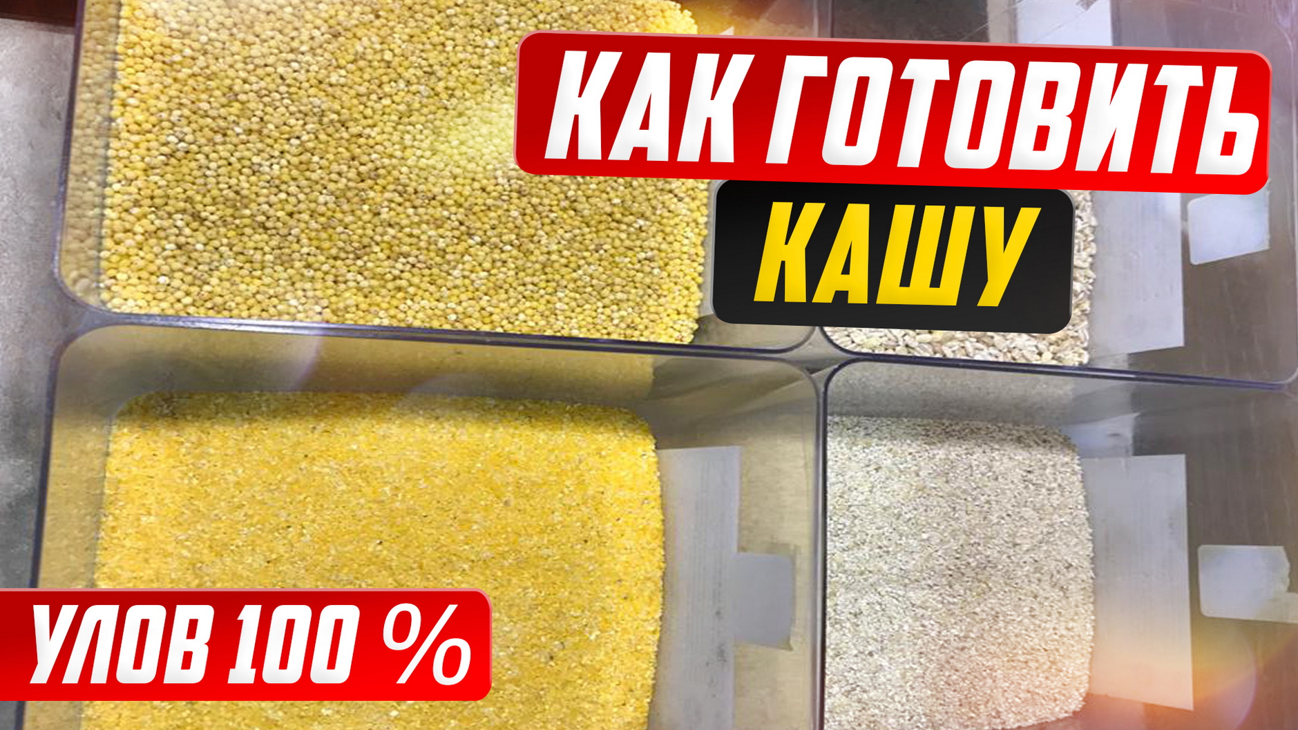 Лучшая самодельная прикормка на карася, леща, сазана. Как приготовить прикормку для фидера.