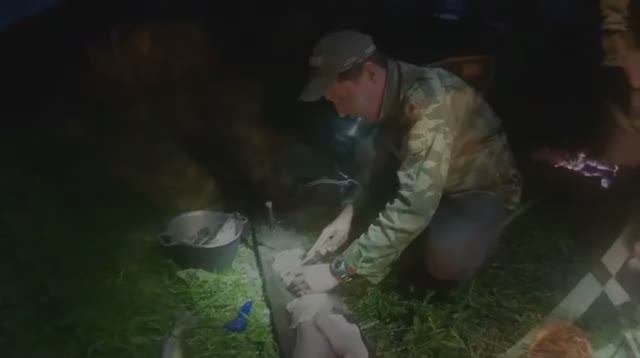 Юмагузинское водохранилище 2015 День 2