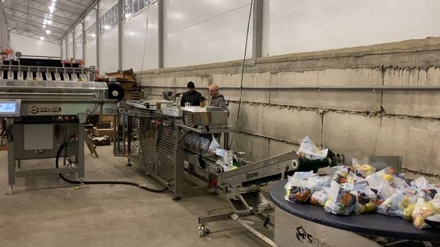 Линия по дозированию и фасовке яблок в полиэтиленовый пакет (полурукав).