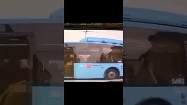 автобусное харакири