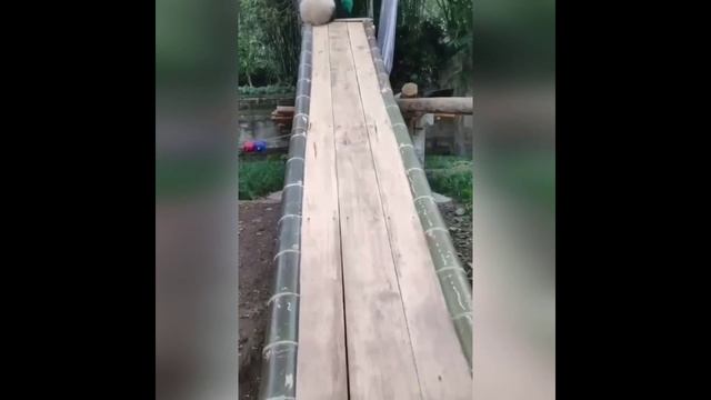 Смешные медвежки