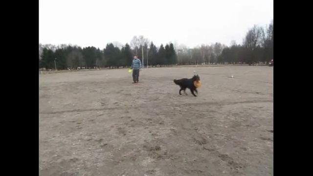 Фризби Вебстайл 2014 Дмитрий и грюнендаль Жулик.mp4