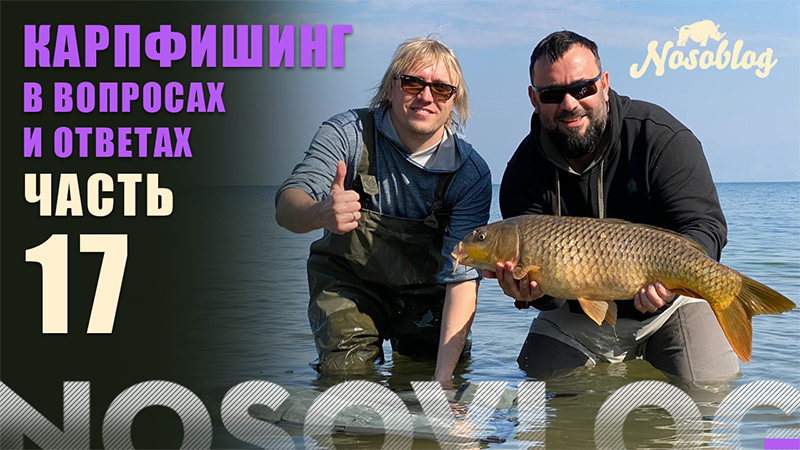 Карпфишинг в вопросах и ответах, выпуск 17, Колесников А.