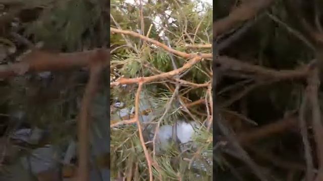 Шалаш у детей:)