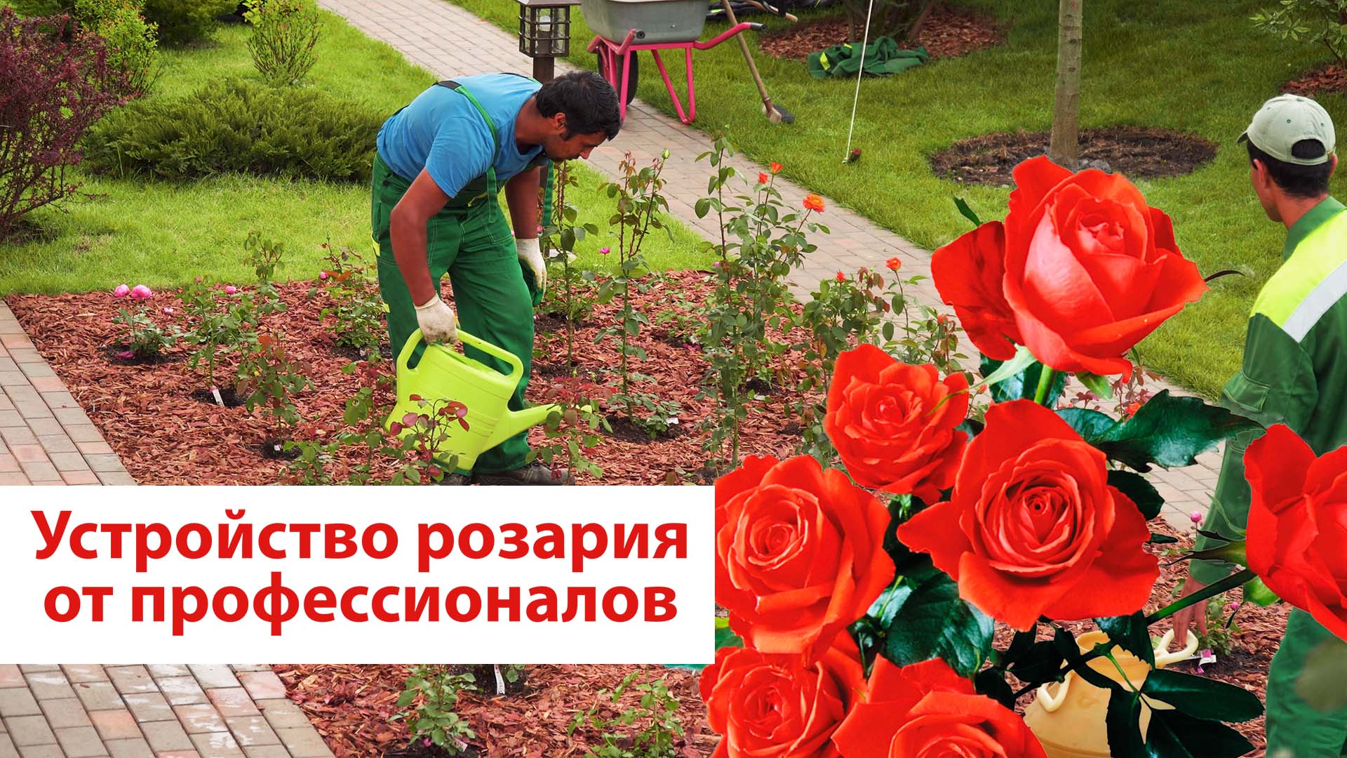 Устройство розария. Работа профессионалов компании Зелёная точка
