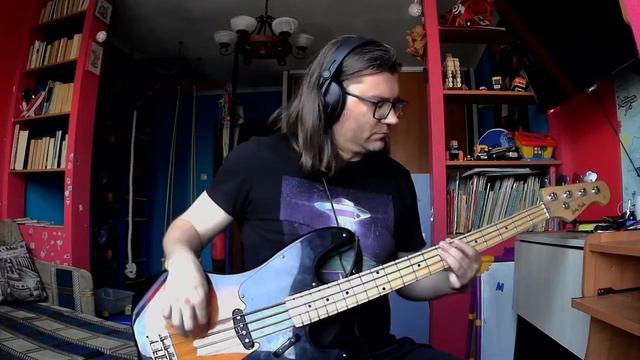 Amy Macdonald - This is The Life (bass cover)