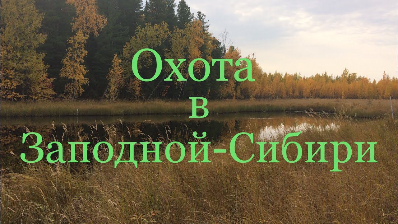 Часть 1. Охота на утку, рябчика с подхода 2018