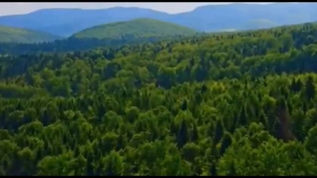 О, Господи , не дай мне заболеть