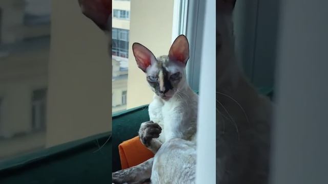 Красота - страшная сила.