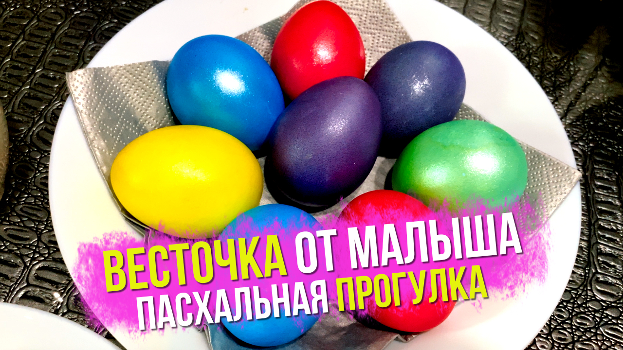 Христос воскресе! Шпиц Малыш Тедди. Бросить учёбу? Прогулка с собакой