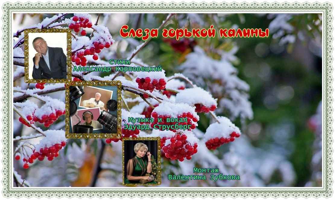 Слеза горькой калины-стихи А.Карповецкого,муз и вокал Э.Струсберга,монтаж В.Зубковой