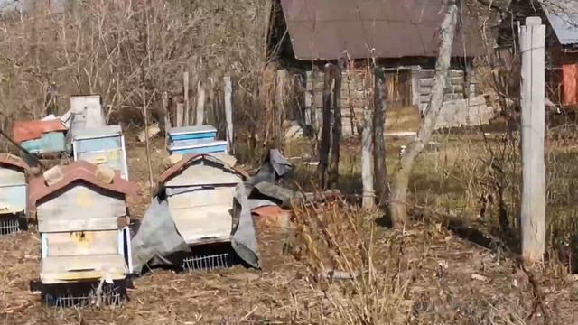 Заброшка обретает жизнь, апрель 2023