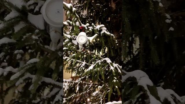 Новогодний двор ресторана" Штакеншнейдер"