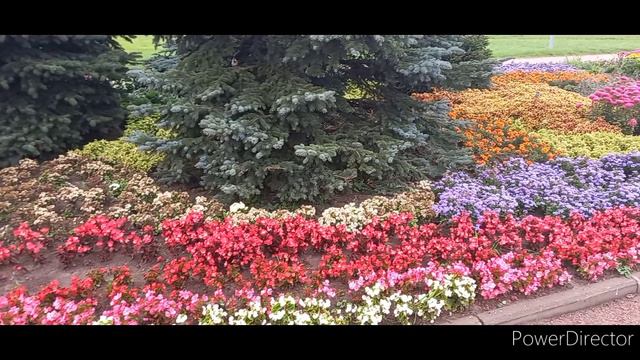 Сад Прометей в Санкт-Петербурге.