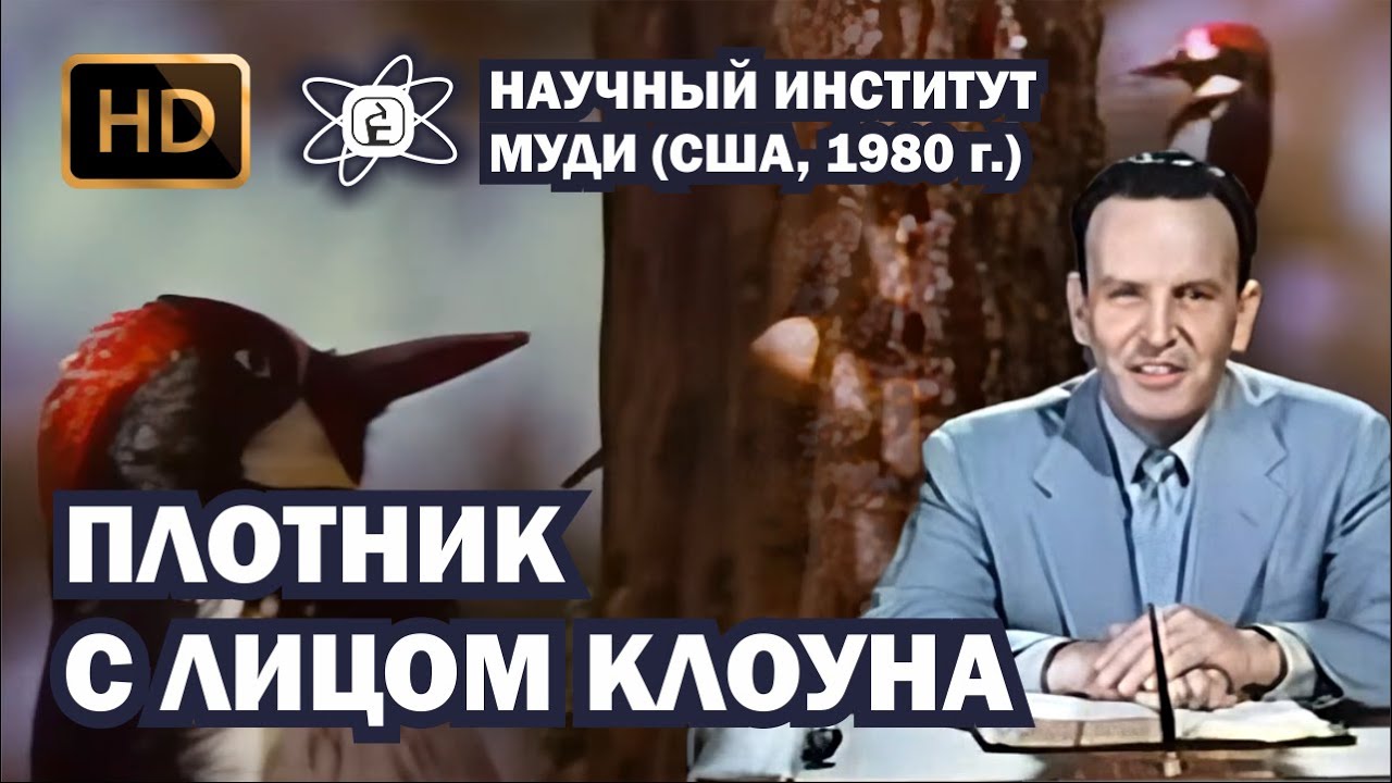 Плотник с лицом клоуна  (1980) HD. Научный Институт МОУДИ (720p)