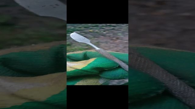 Чего только не найдёшь в лесу