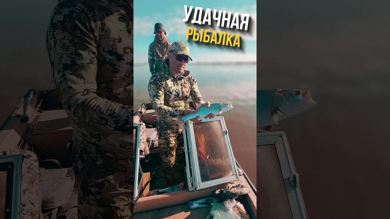 ХОРОШИЙ УЛОВ! #охотарыбалка #рыбалка #рыбаки #рыба #жерех