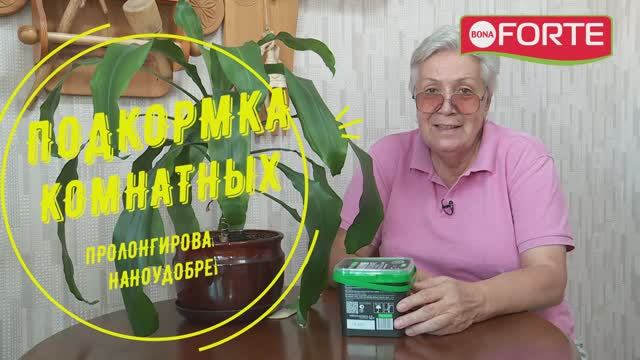 Подкормка комнатных растений пролонгированным наноудобрением. Подходит для рассады и саженцев