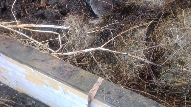 Как сделать бюджетный компостный ящик со сроком службы более   семи лет.