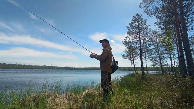 Давно хотел сюда попасть! В гостях у канала В Поисках Сокровищ. Ловим диких рыб.