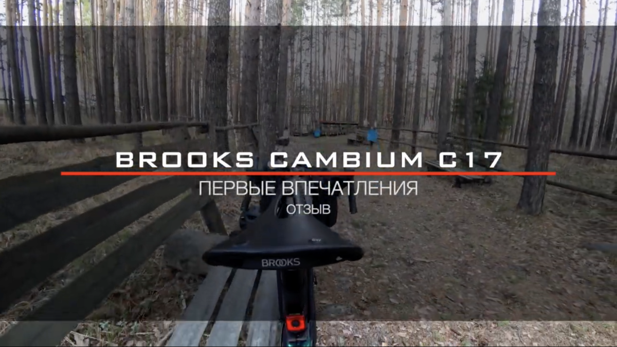 Brooks Cambium C17 Carved на гравийном велосипеде: отзыв после 280 км