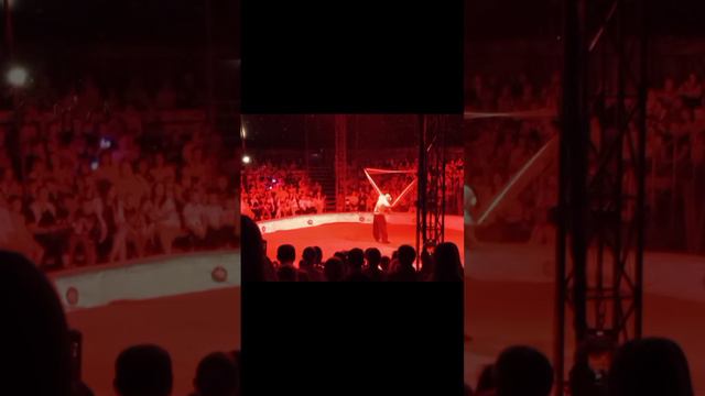 мы съездили в 🎪🎪🎪 полное видео уже на канале