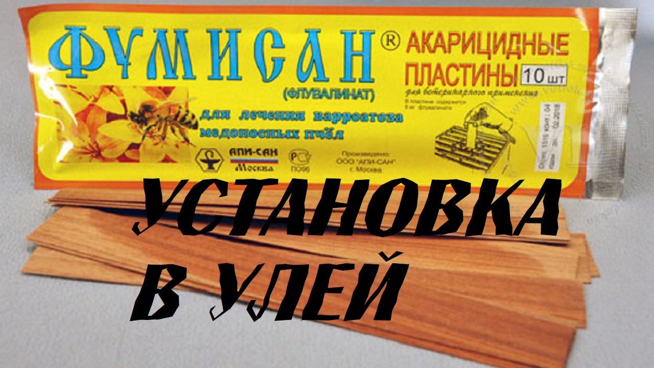 Установка акарицидных полосок в улей