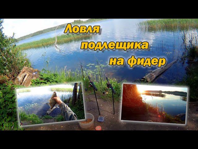 Ловля подлещика на фидер