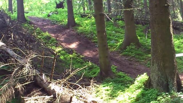 Юкки лонг 13-15. 2