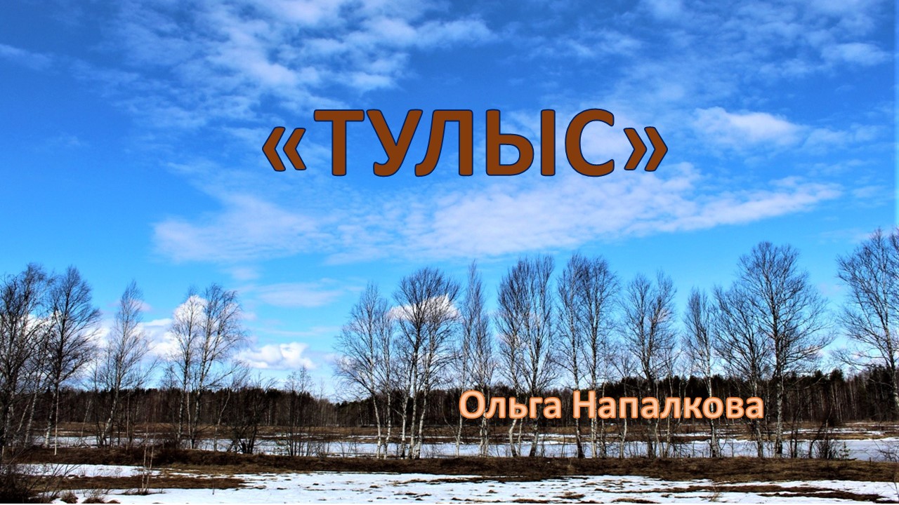 "Тулыс"   Ольга Напалкова