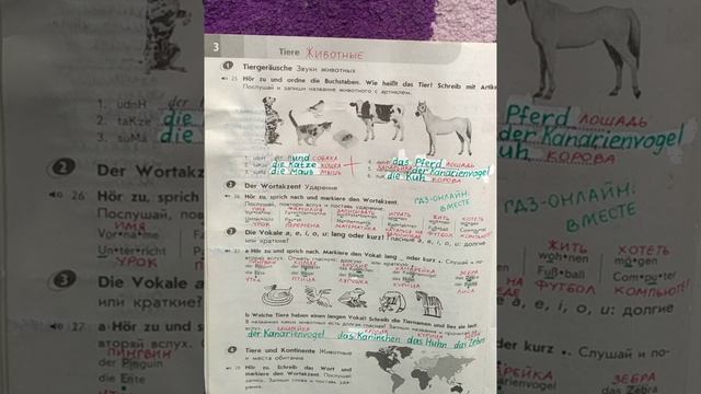 5 класс. ГДЗ. Немецкий язык. Рабочая тетрадь. М. Аверин. Страница 20. С комментариями.