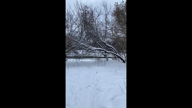 Домашний пакет с мусором в урне , так не пойдет #354 Орехово-Зуево.mp4