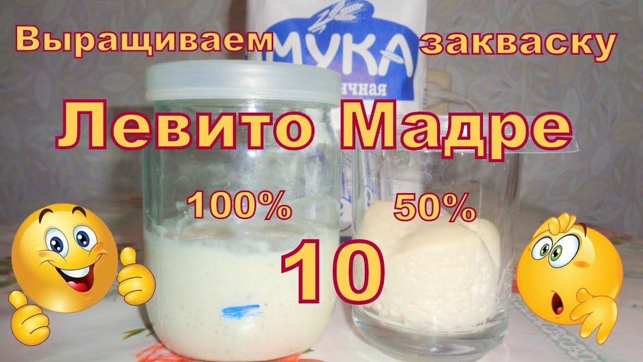 Закваска на винограде Левито Мадре. Часть 10. Мой эксперимент))